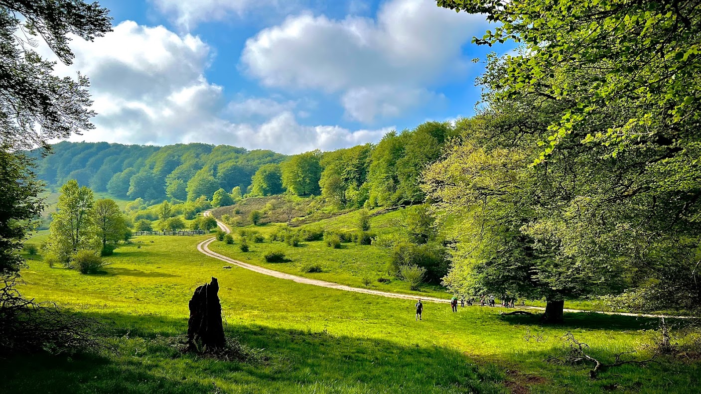 LEKUNBERRI-UHARTE ARAKIL | Lasarte-Oria Trail